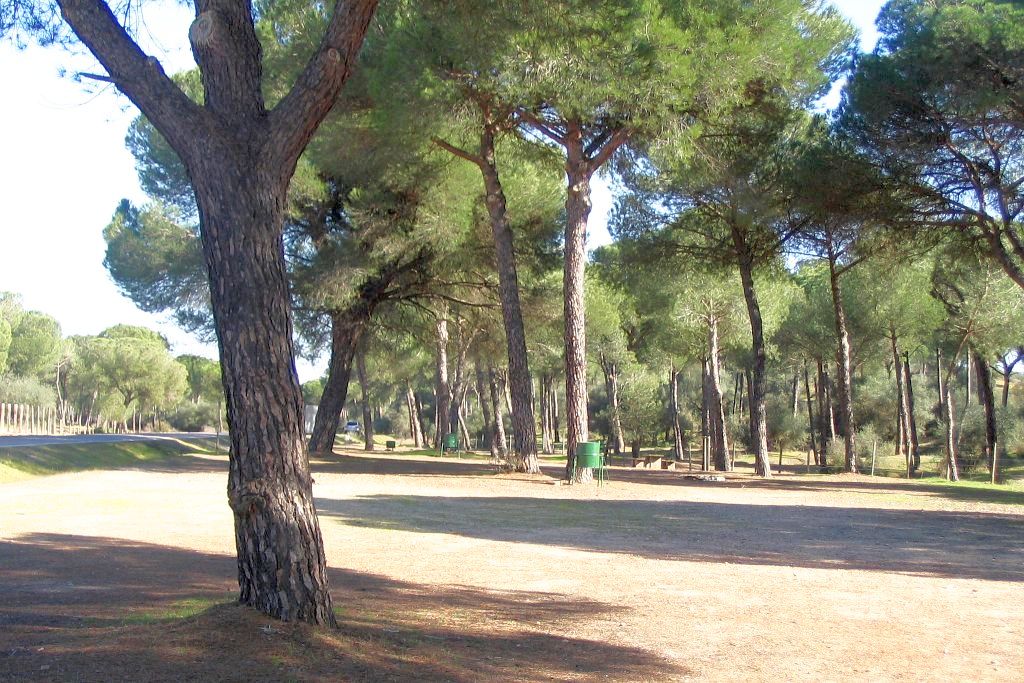 Área recreativa Pozo de los Conejos - Wikipicnik - Tus zonas de Picnic
